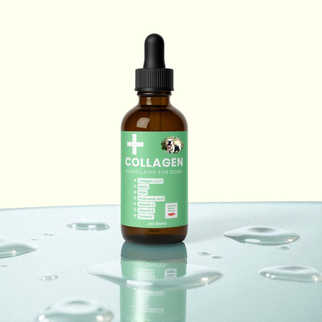 Premium Collagen Helps Your Dog Stay Active & Pain-Free – Waggle Hound