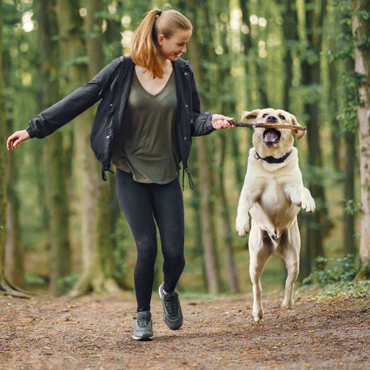 Premium Collagen Helps Your Dog Stay Active & Pain-Free – Waggle Hound