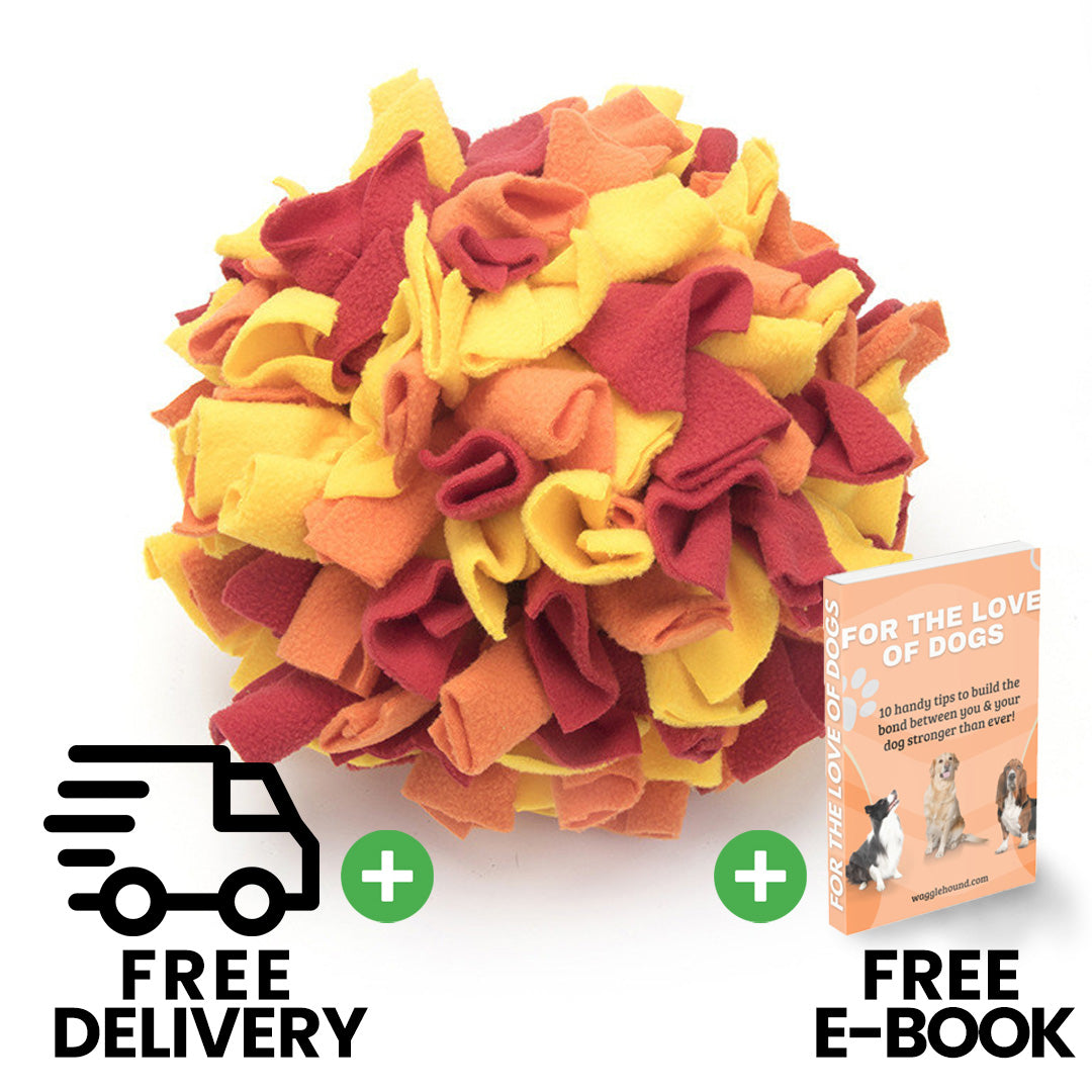 The Waggle Ball™ – Waggle Hound
