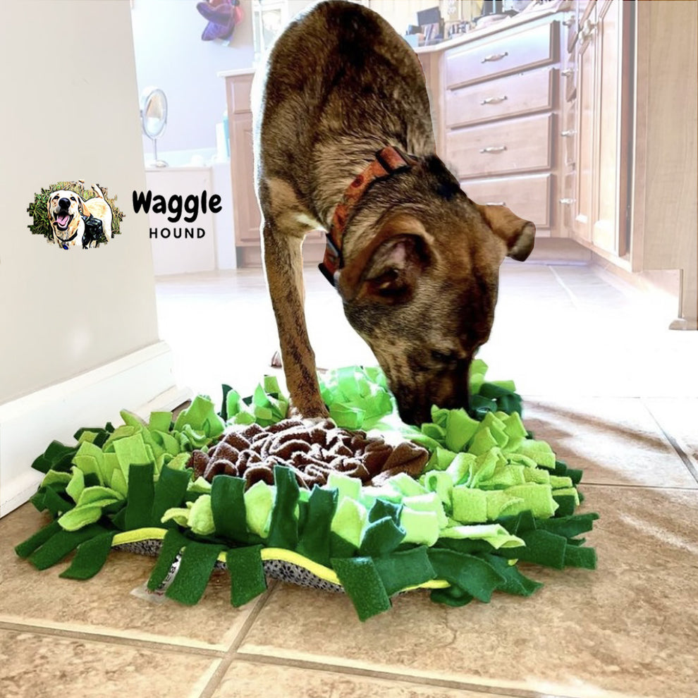 Avocado Snuffle Mat – Waggle Hound