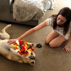 The Waggle Ball™ – Waggle Hound